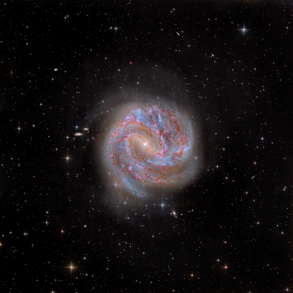 Southern Pinwheel Galaxy M83 | Telescope Live